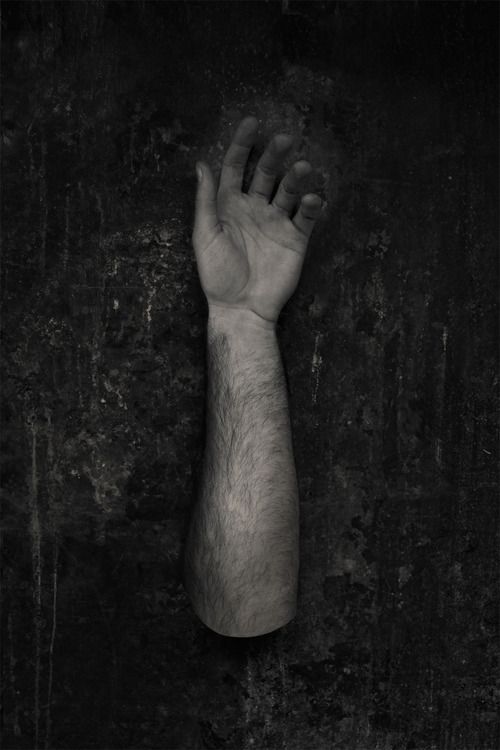 Larson McGrath, c’est qui? / Who’s Larson McGrath ? | heli cohen-seuret