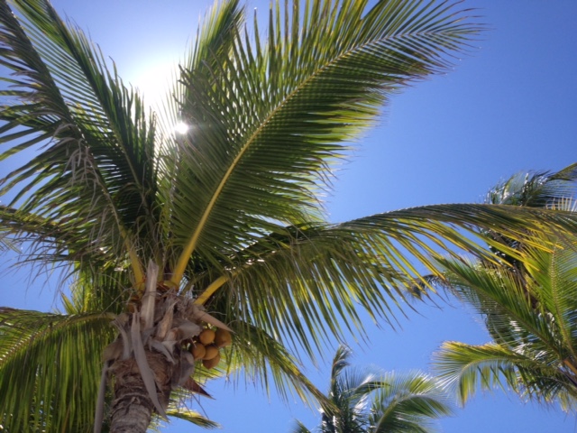 Les Cubains sont ils joyeux, vrai ou faux? | heli cohen-seuret
